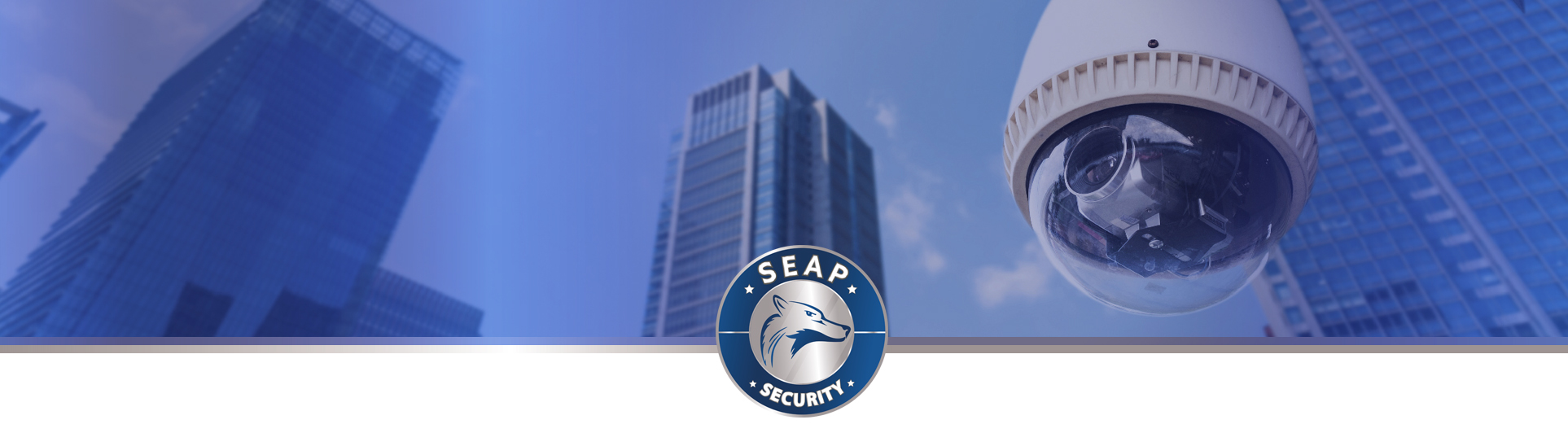Seap Security – Seap